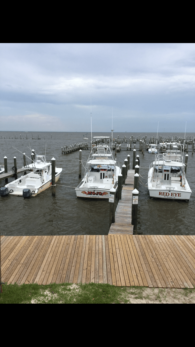 Ft. Morgan AL Fishing Charters | Trolling & Deep Drop Fishing Charters